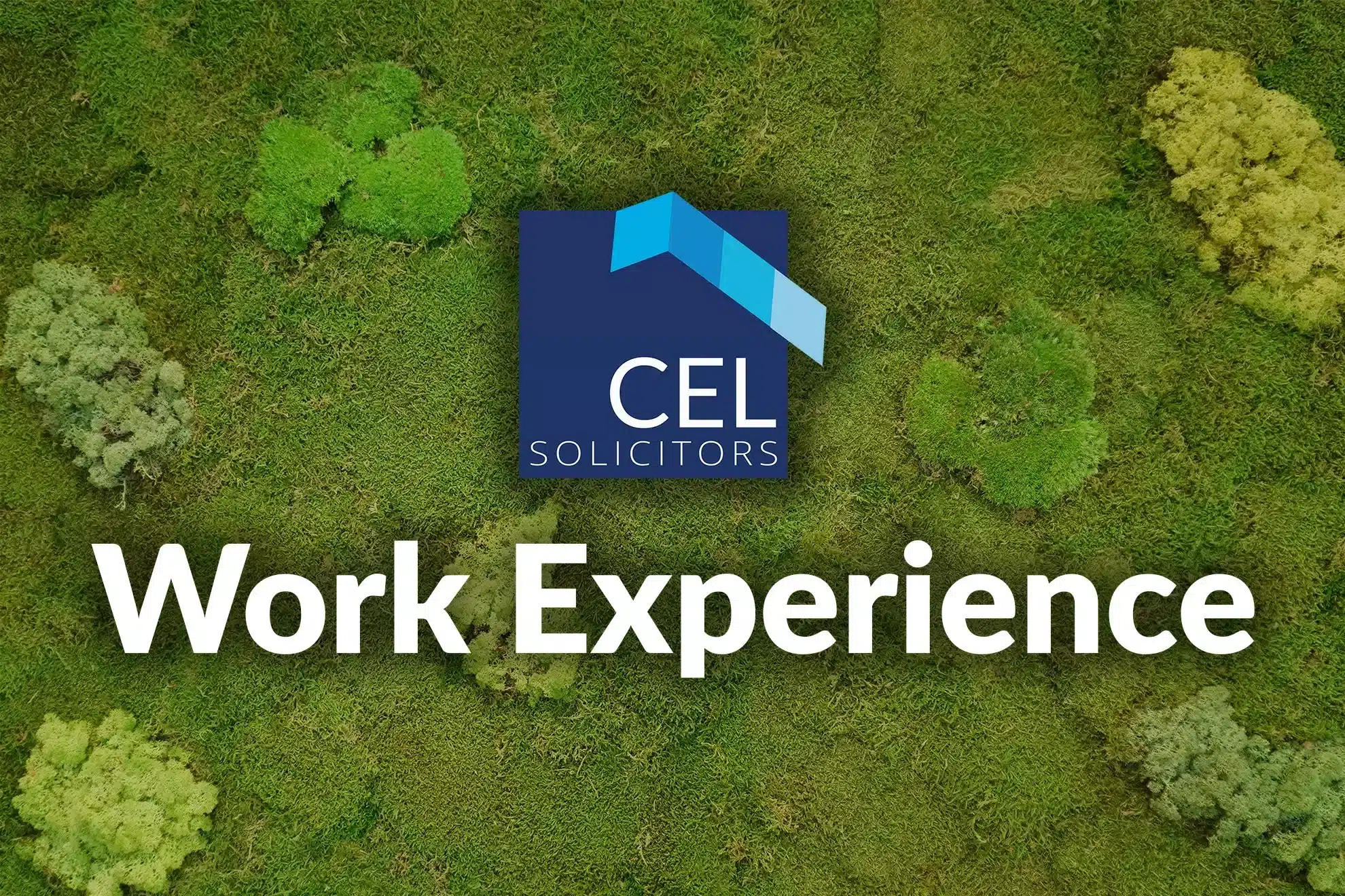 Work experience with CEL Solicitors - Noah | CEL Solicitors
